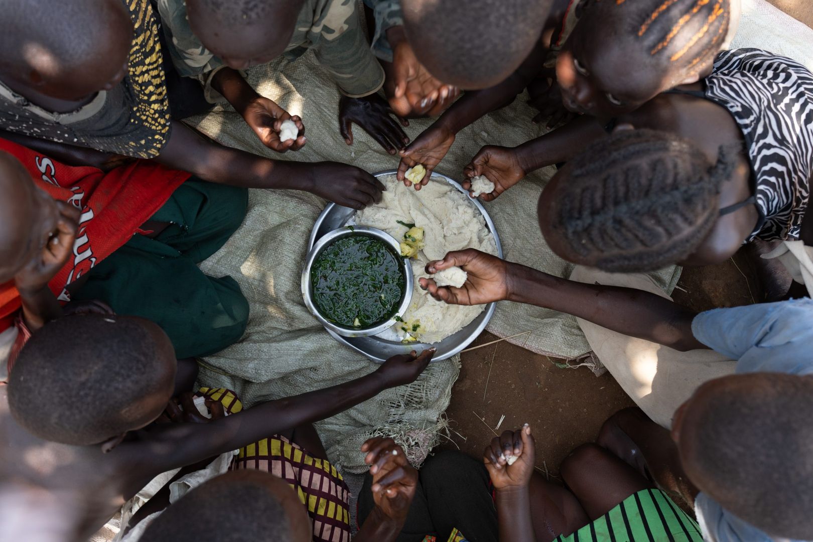 Empowering Refugees Through Sustainable Food Solutions - DanChurchAid
